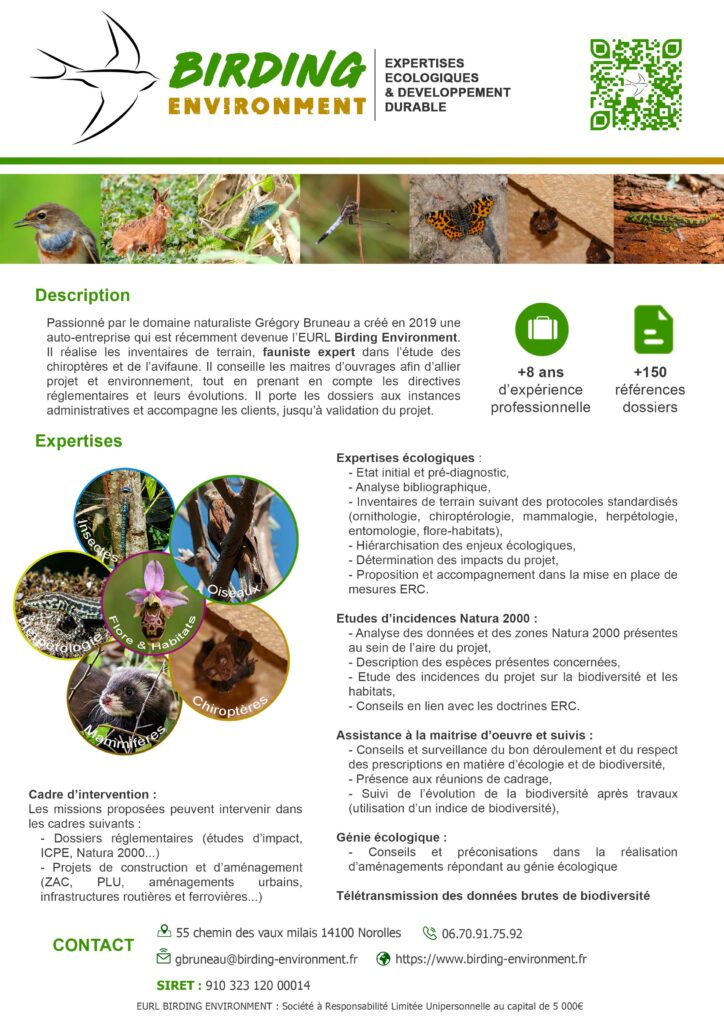 Présentation - Birding Environment